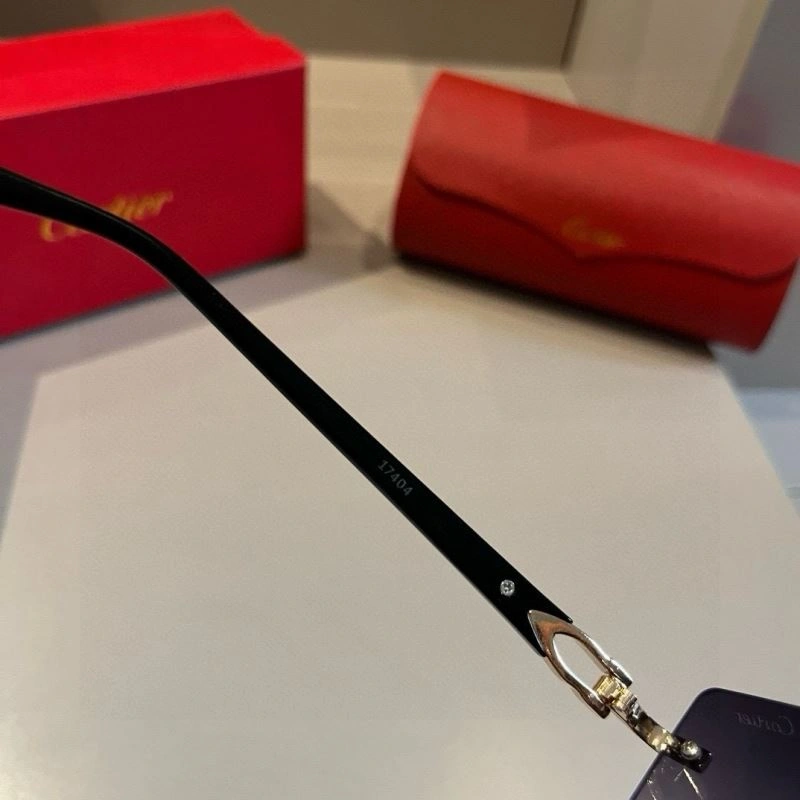 Indistinguishable Cartier Sunglasses