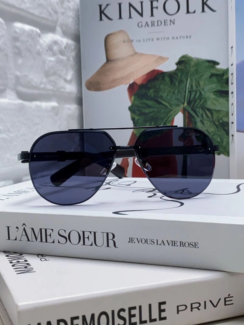 Reasonably priced Cartier Sunglasses