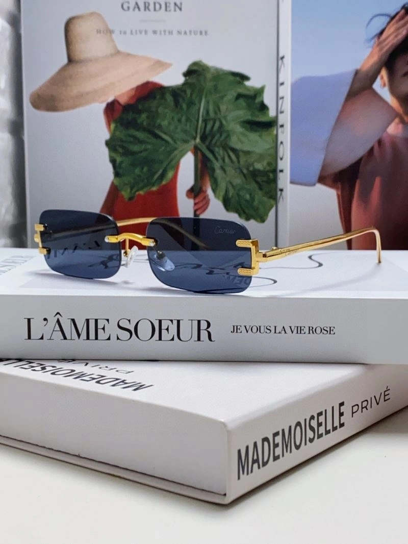 Reasonably priced Cartier Sunglasses