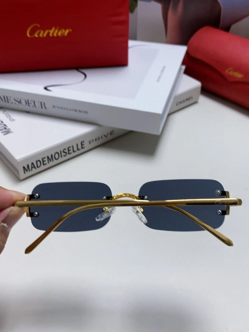 Reasonably priced Cartier Sunglasses