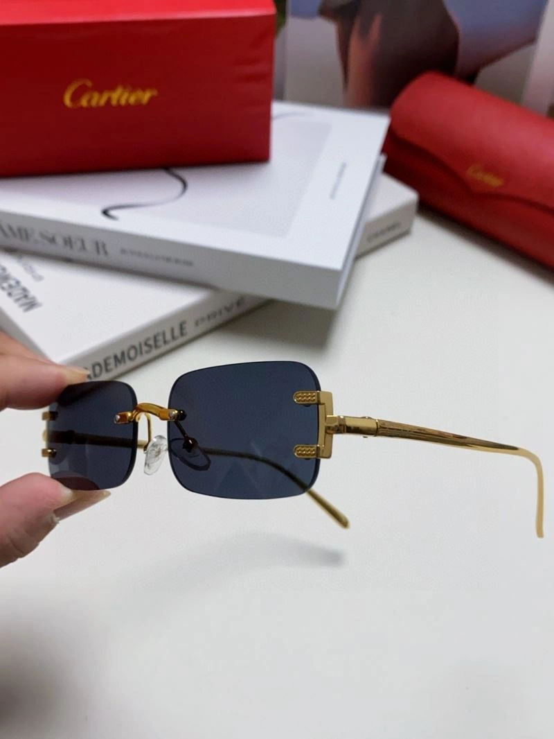 Reasonably priced Cartier Sunglasses