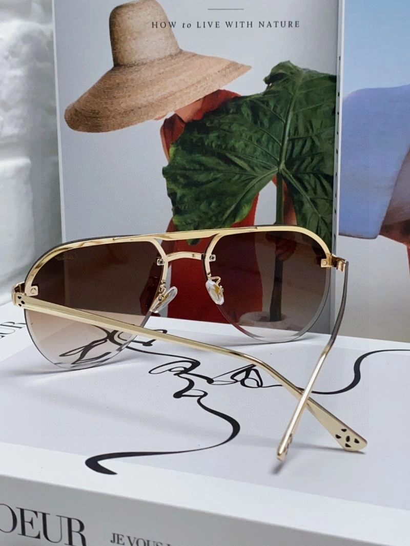 Top match Cartier Sunglasses