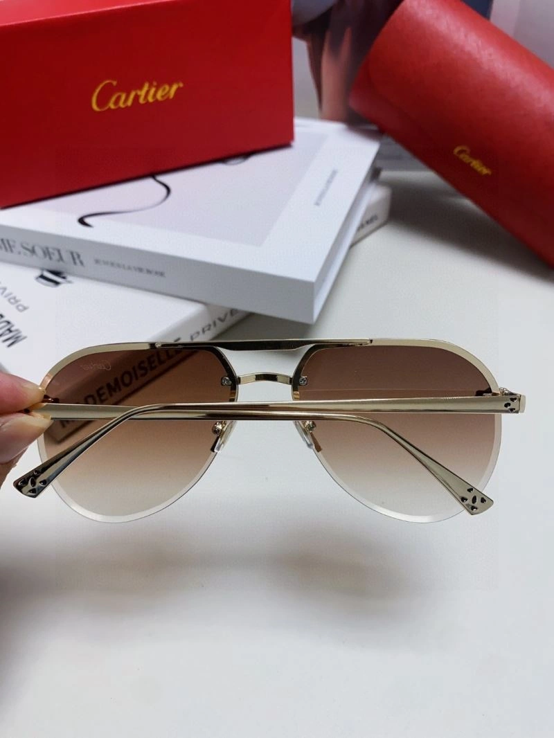 Top match Cartier Sunglasses