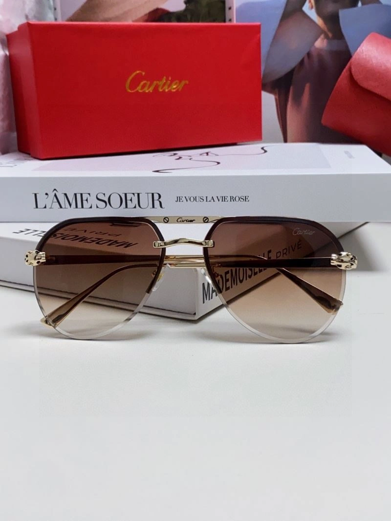 Top match Cartier Sunglasses