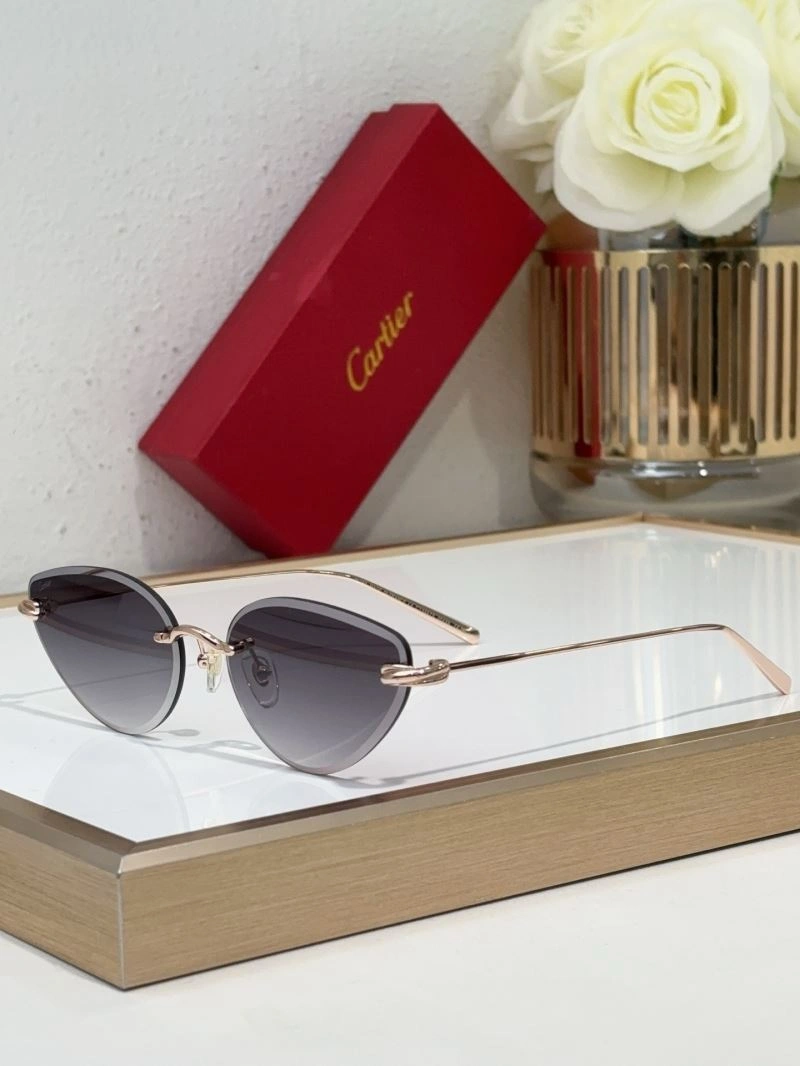 Indistinguishable Cartier Sunglasses