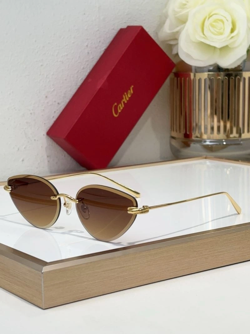 Indistinguishable Cartier Sunglasses