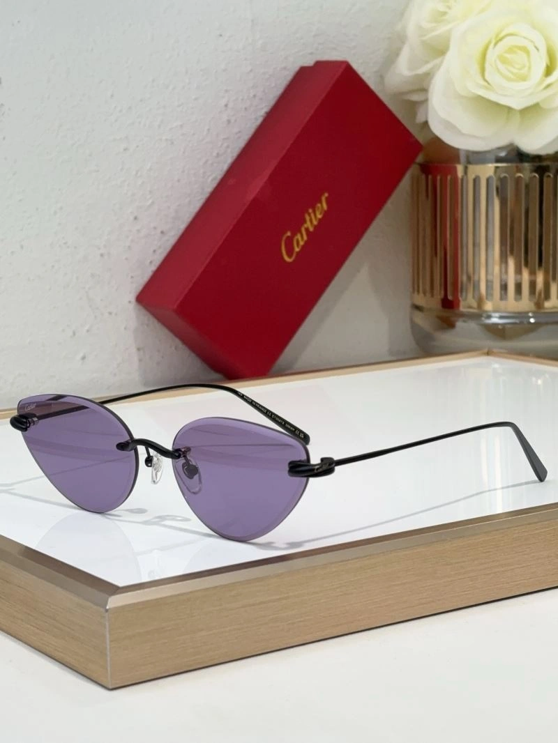 Indistinguishable Cartier Sunglasses