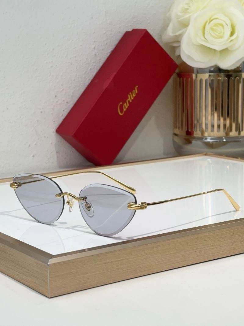 Indistinguishable Cartier Sunglasses