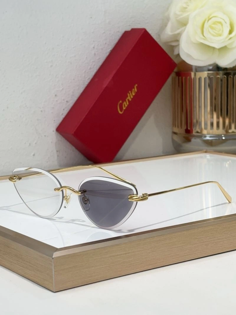 Indistinguishable Cartier Sunglasses
