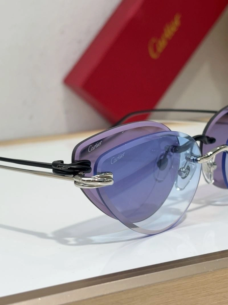 Indistinguishable Cartier Sunglasses