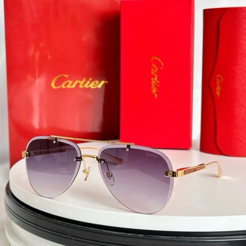 Top match Cartier Sunglasses