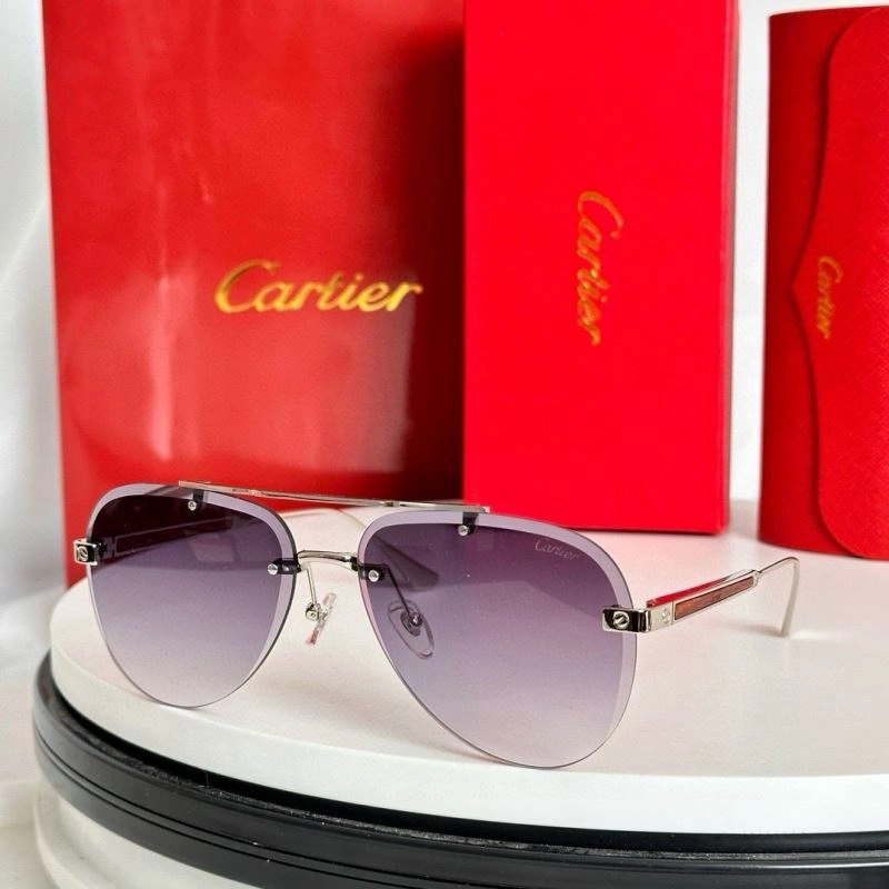Top match Cartier Sunglasses