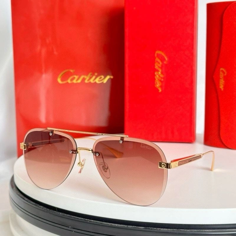 Top match Cartier Sunglasses