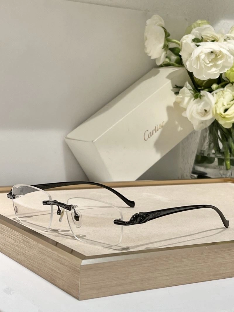Indistinguishable Cartier Sunglasses