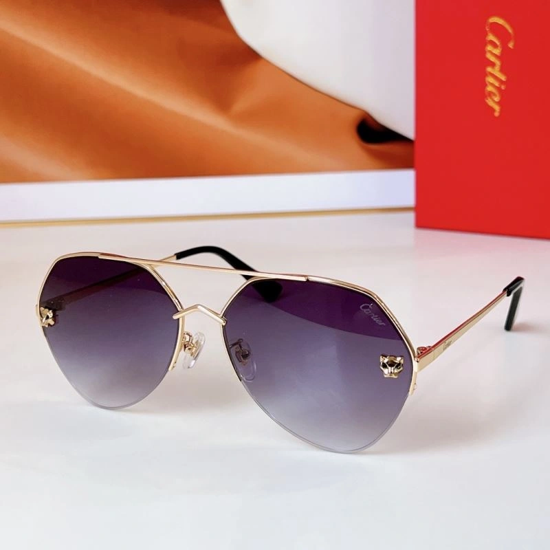 Indistinguishable Cartier Sunglasses