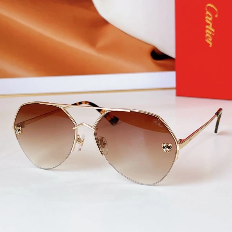 Indistinguishable Cartier Sunglasses