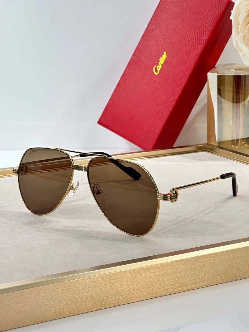 Mirror quality Cartier Sunglasses