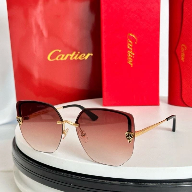 Indistinguishable Cartier Sunglasses