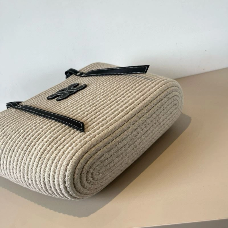 Accurate model Celine Bags