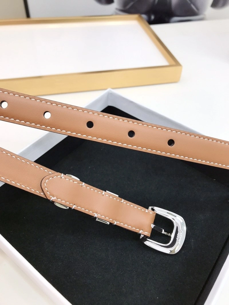 Affordable Celine Belts