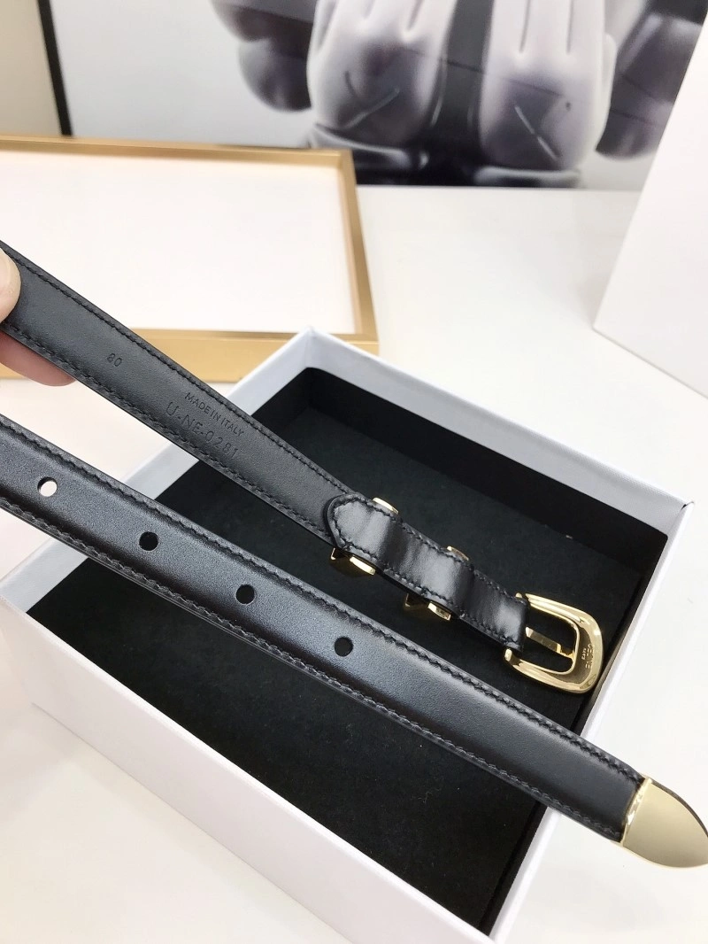 Top mirror Celine Belts