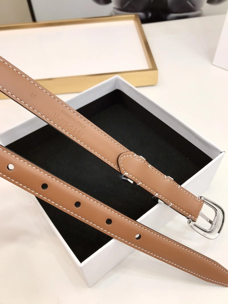 High fidelity Celine Belts