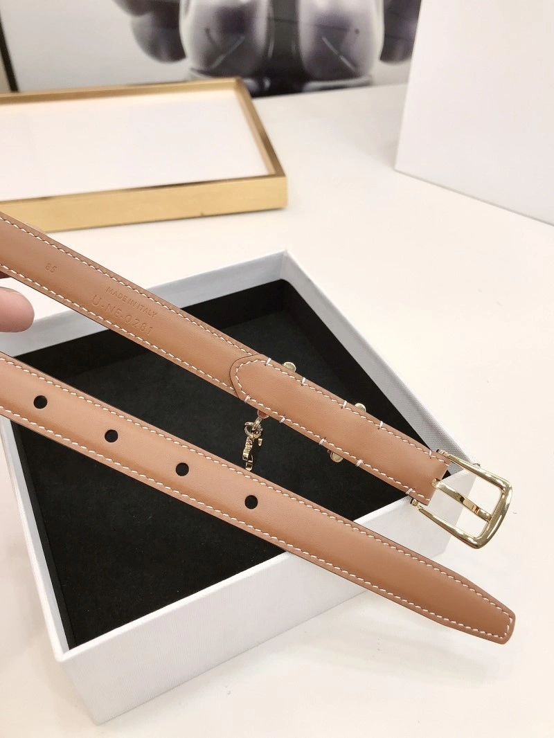 Reasonably priced Celine Belts