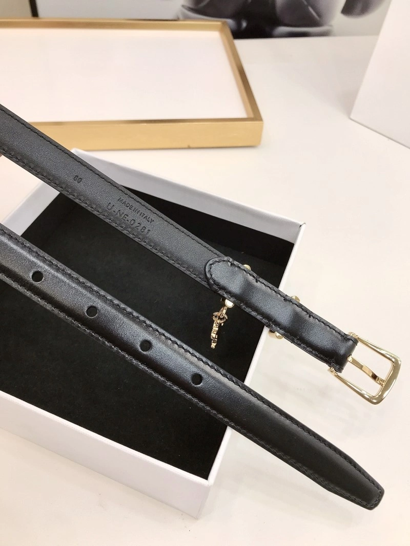 Reasonably priced Celine Belts