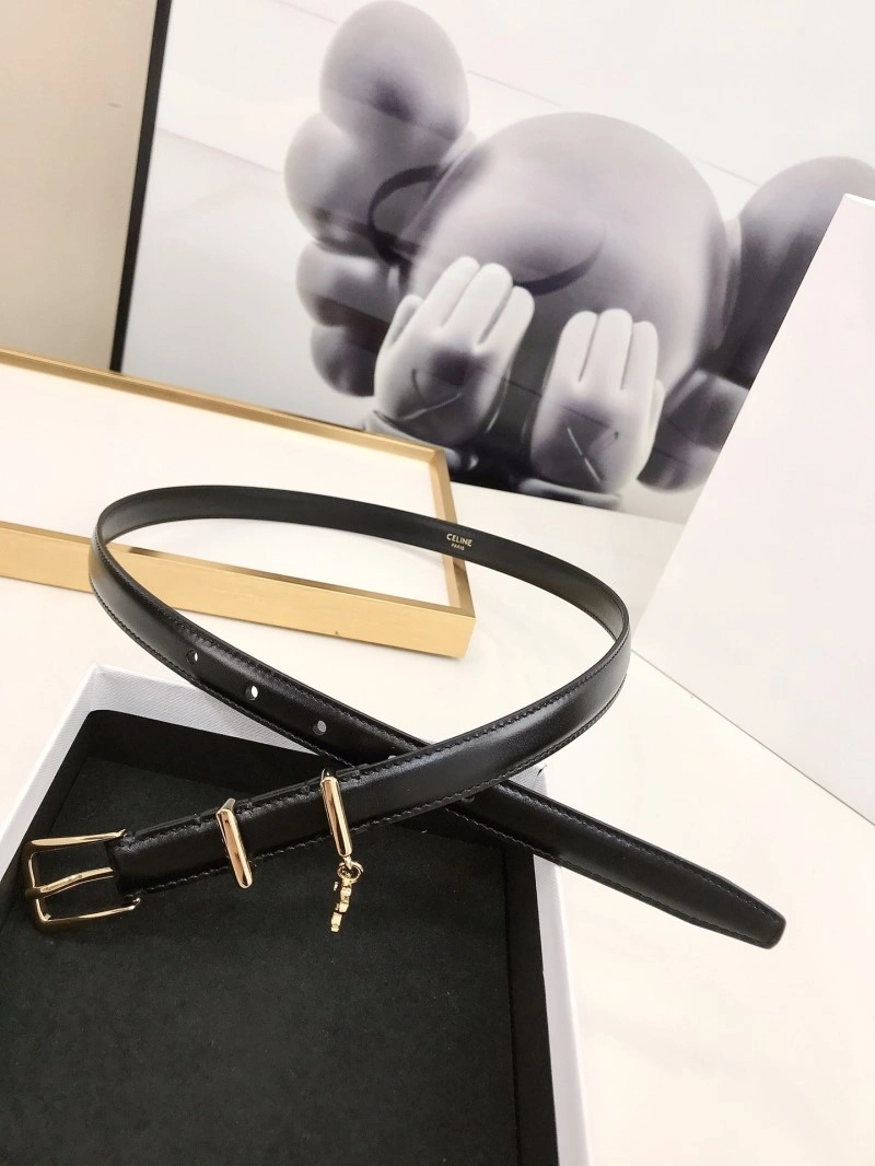 Reasonably priced Celine Belts