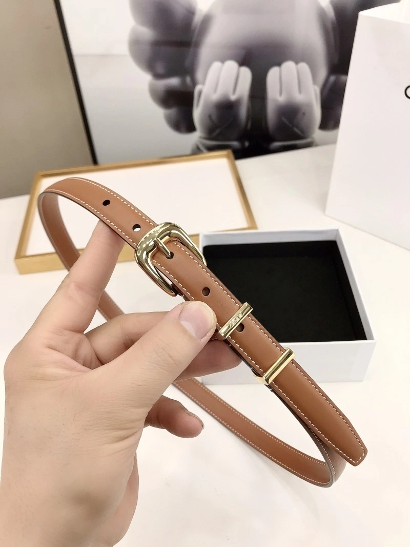 Indistinguishable Celine Belts