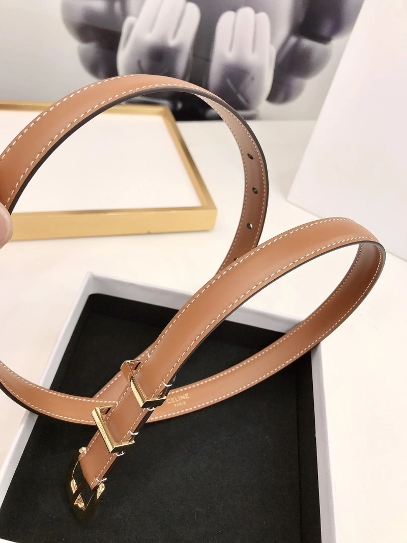 Indistinguishable Celine Belts