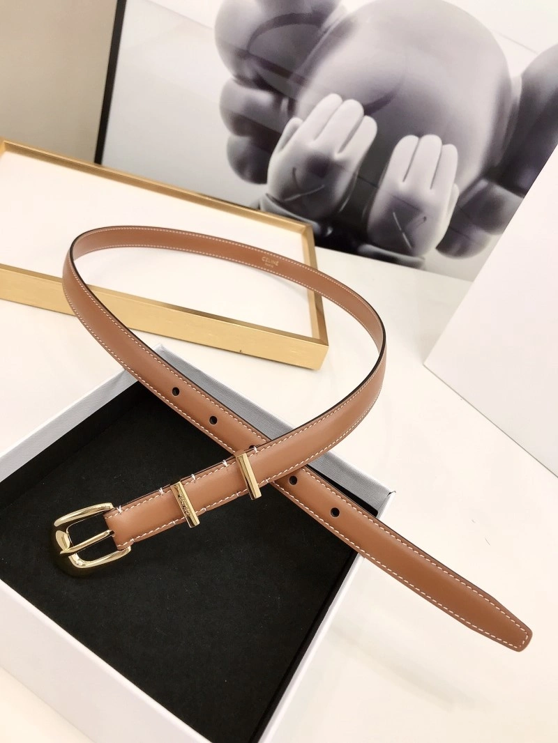 Indistinguishable Celine Belts