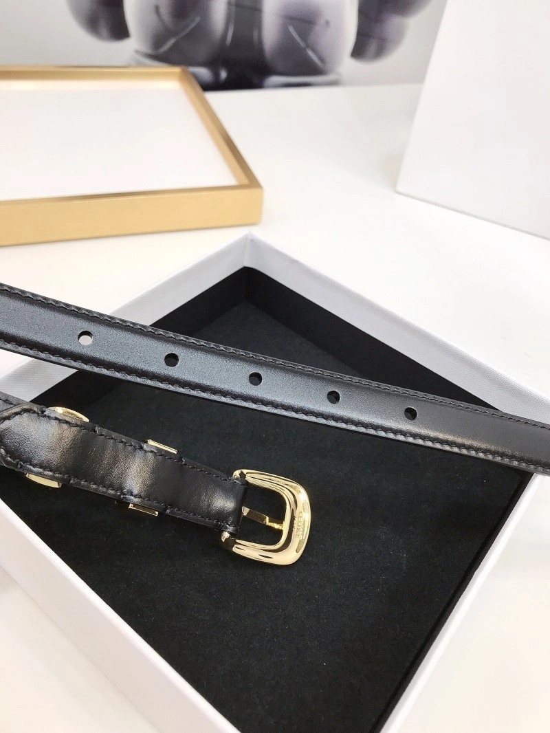 High fidelity Celine Belts