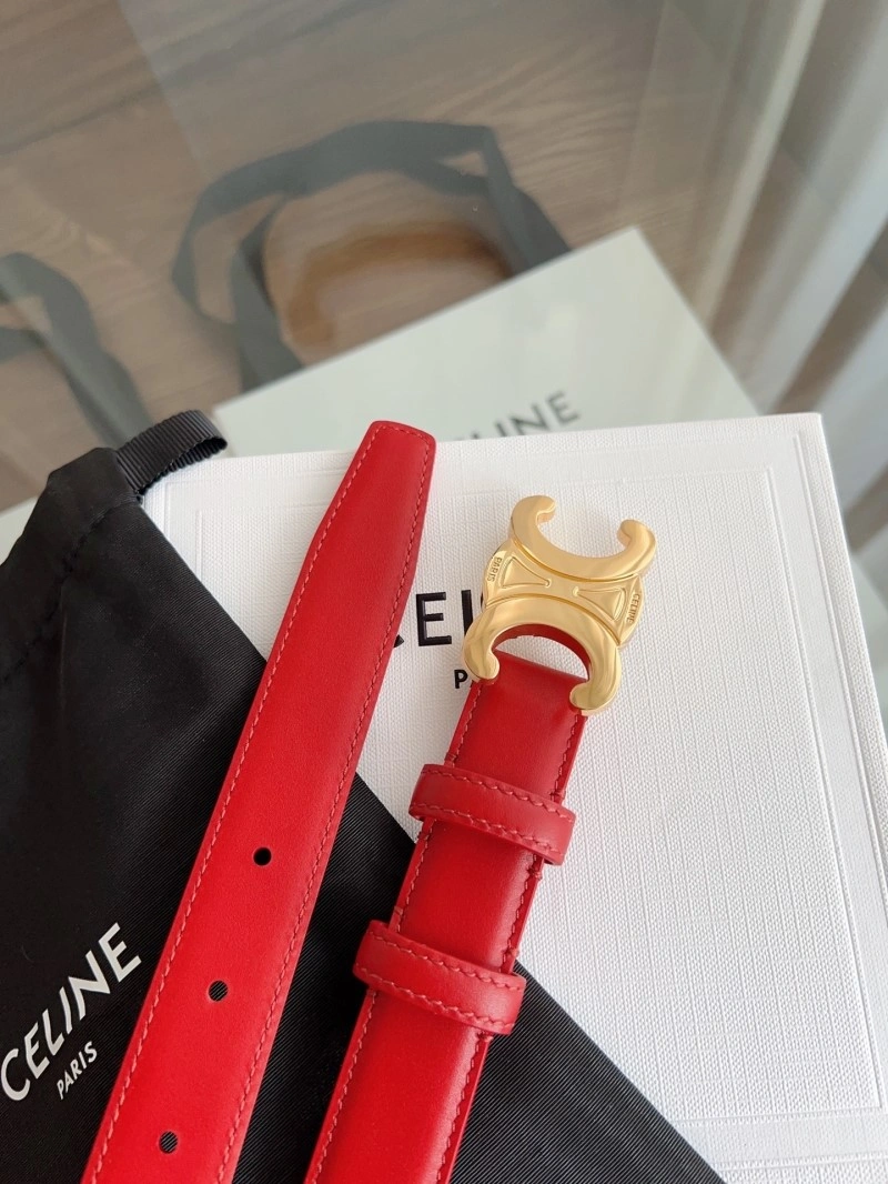 Indistinguishable Celine Belts