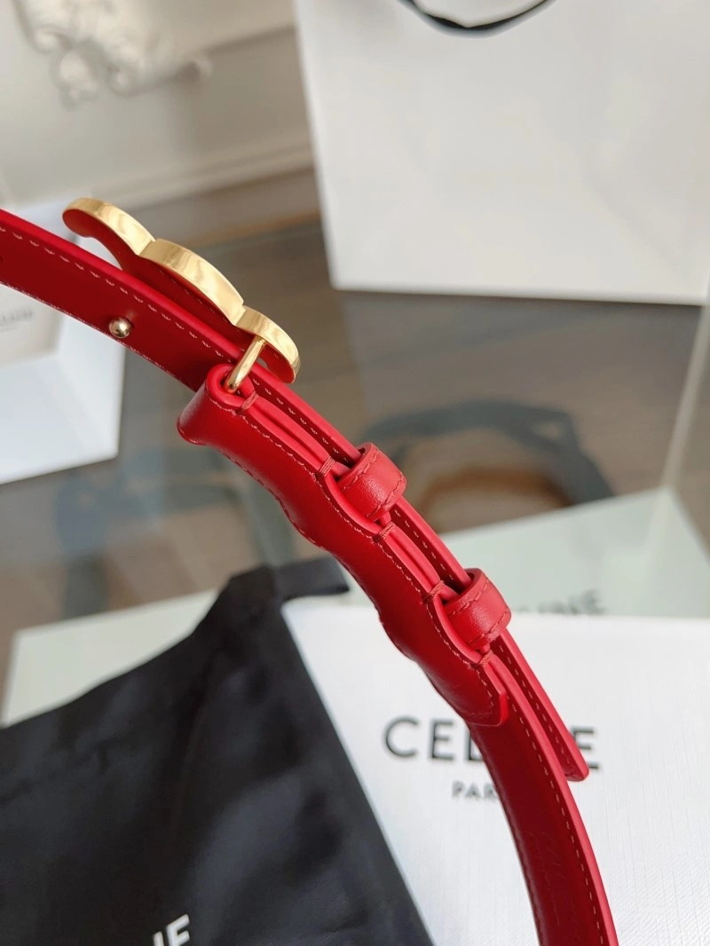 Indistinguishable Celine Belts