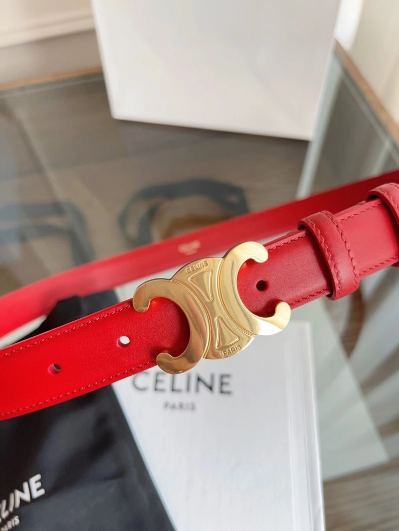 Indistinguishable Celine Belts