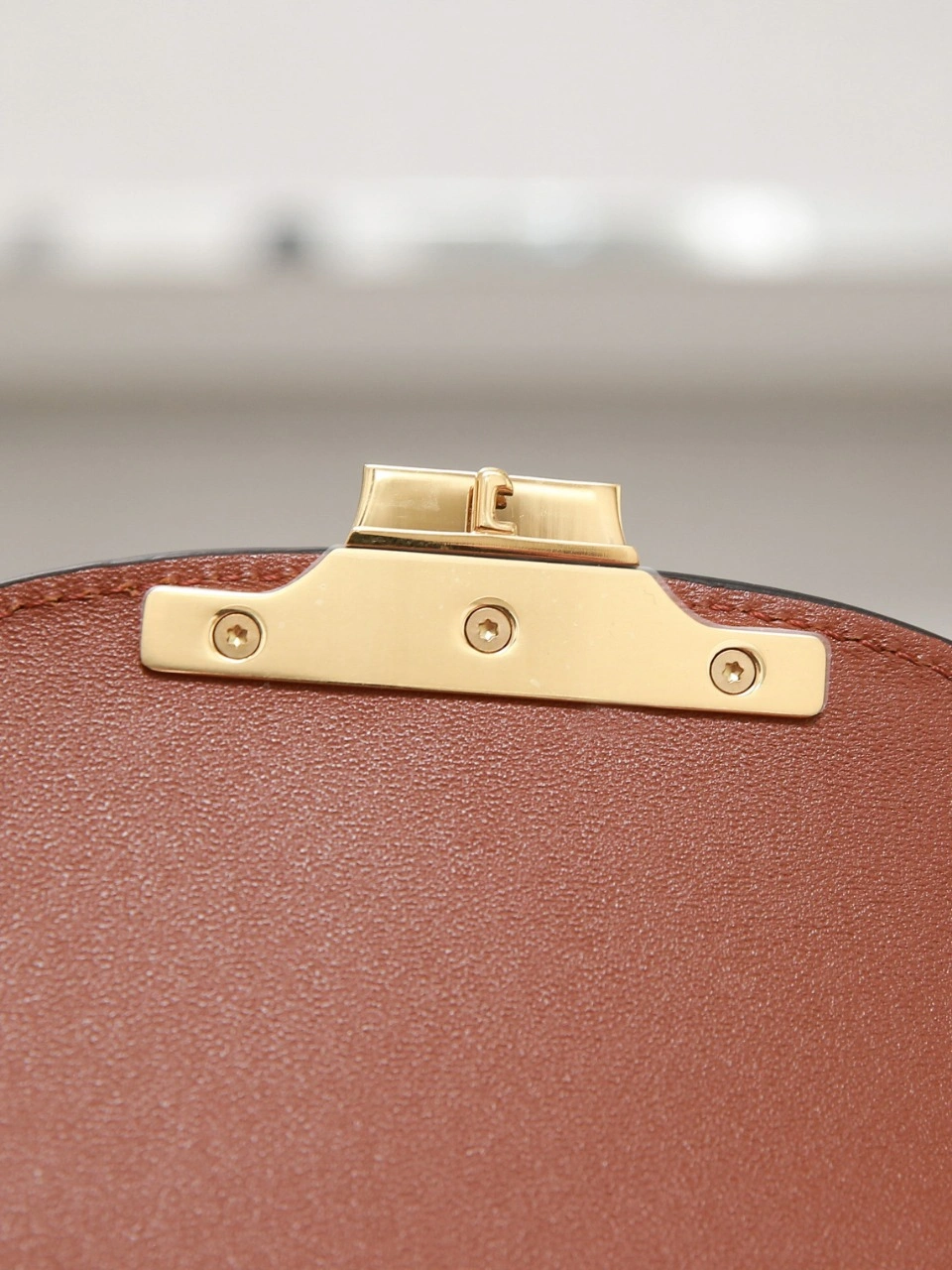 Exact replica Celine Besace Bags