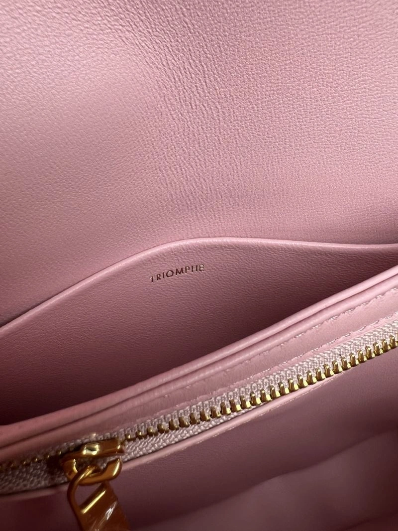 Precise copy Celine Besace Bags