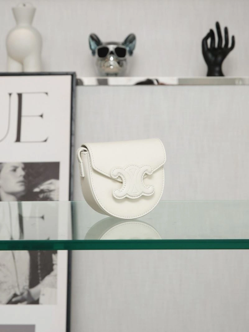 Accurate model Celine Besace Bags