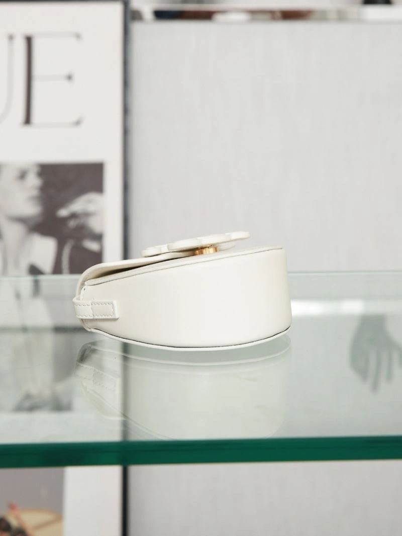 Accurate model Celine Besace Bags