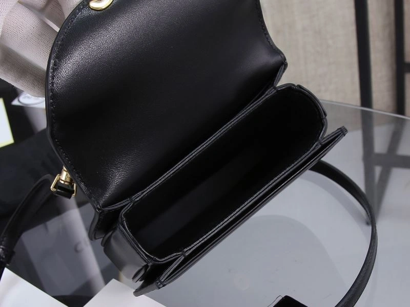 Genuine Celine Besace Bags