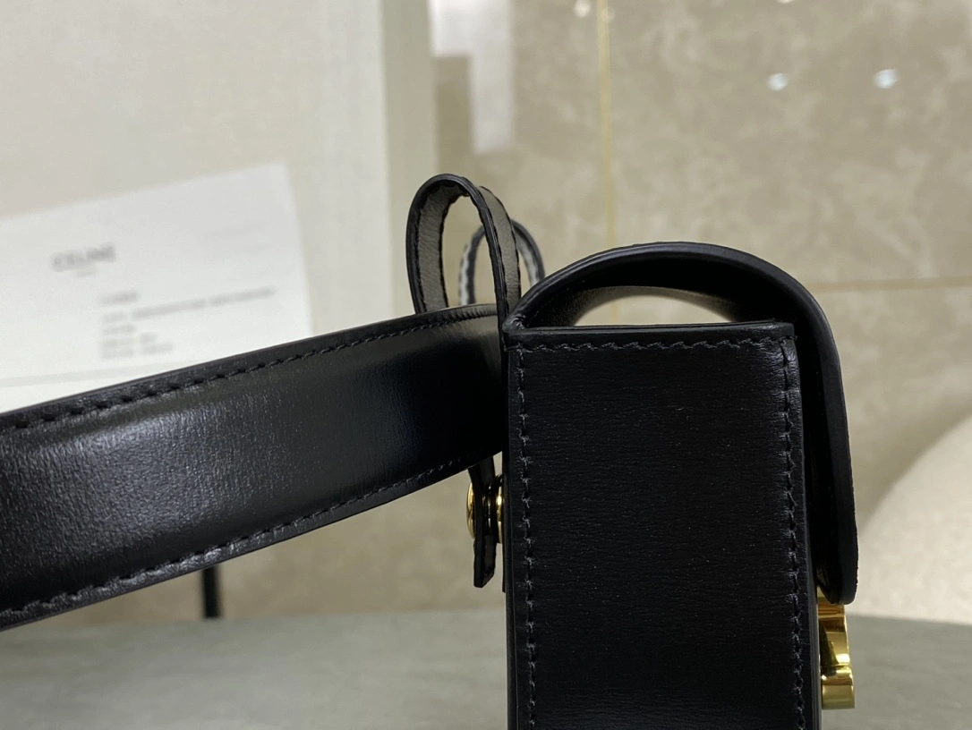 Economical Celine Besace Bags