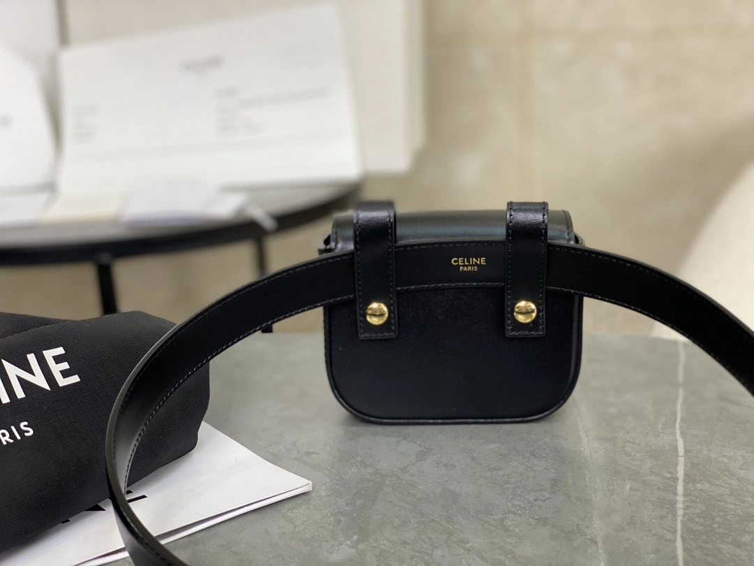Economical Celine Besace Bags