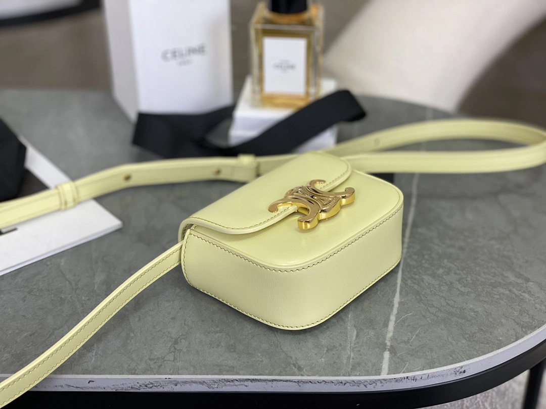 Authentic Celine Besace Bags