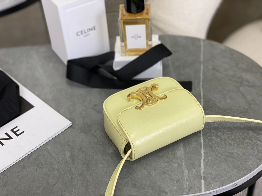 Authentic Celine Besace Bags