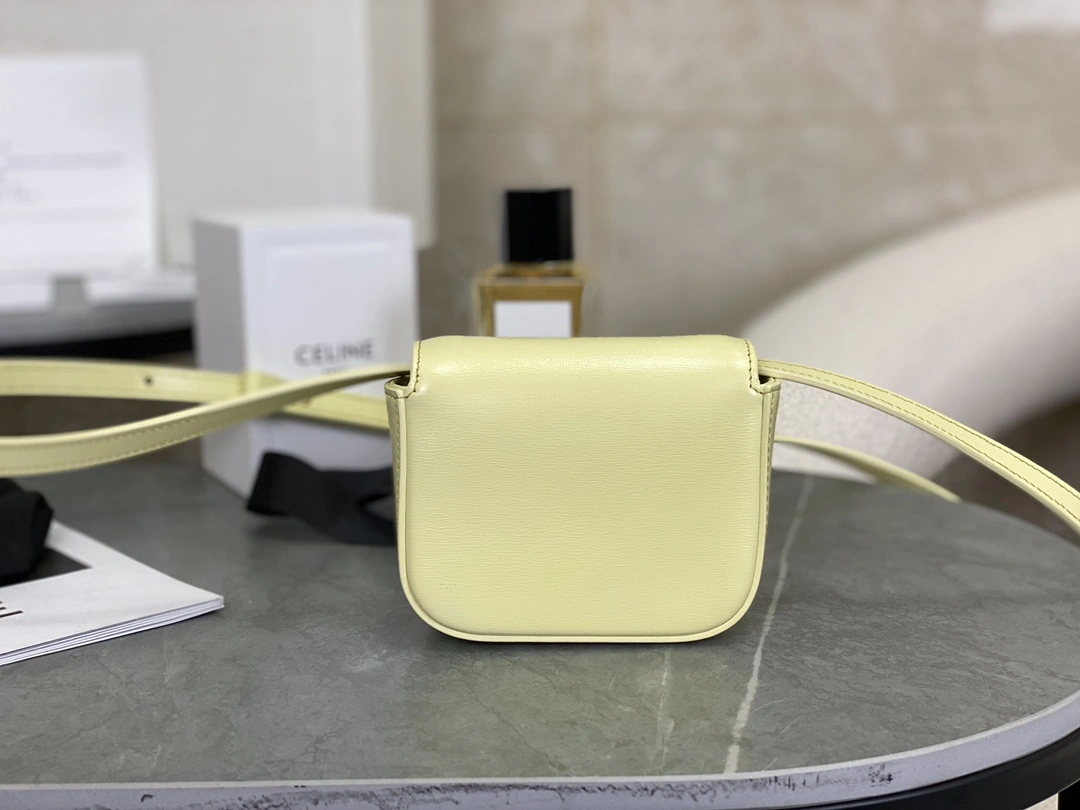 Authentic Celine Besace Bags