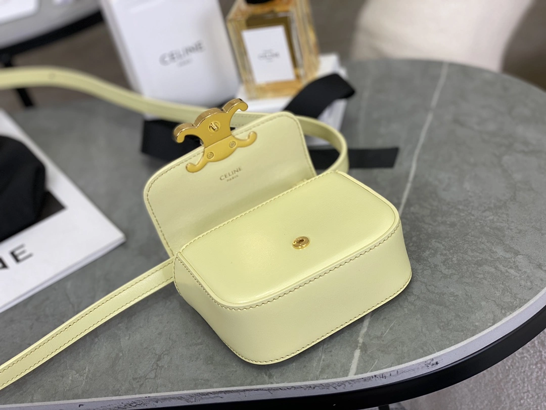 Authentic Celine Besace Bags