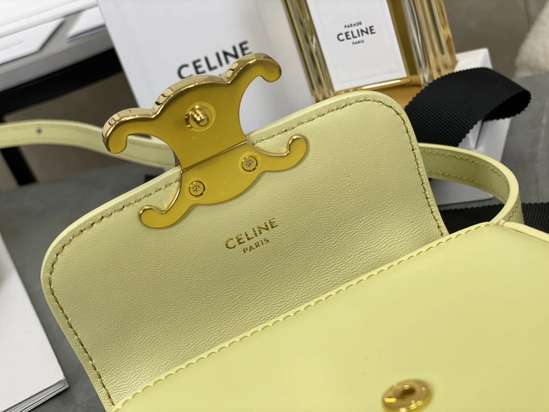 Authentic Celine Besace Bags