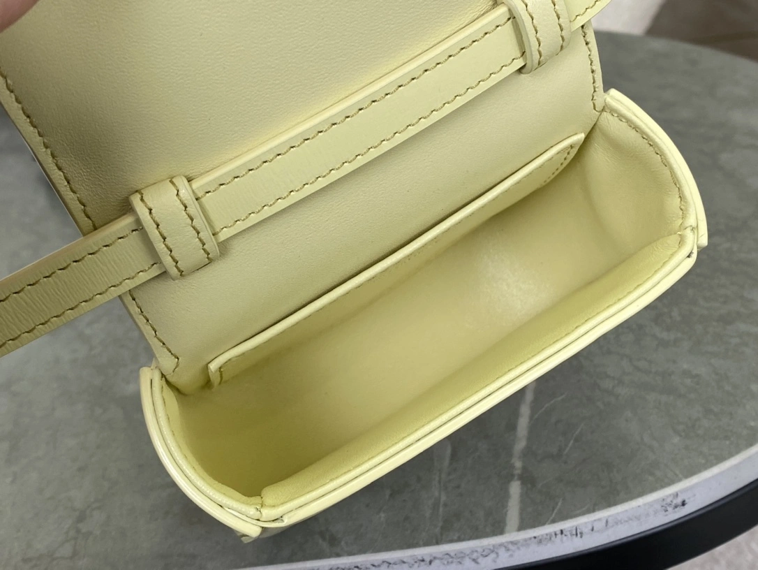 Authentic Celine Besace Bags