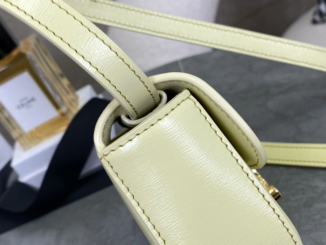 Authentic Celine Besace Bags